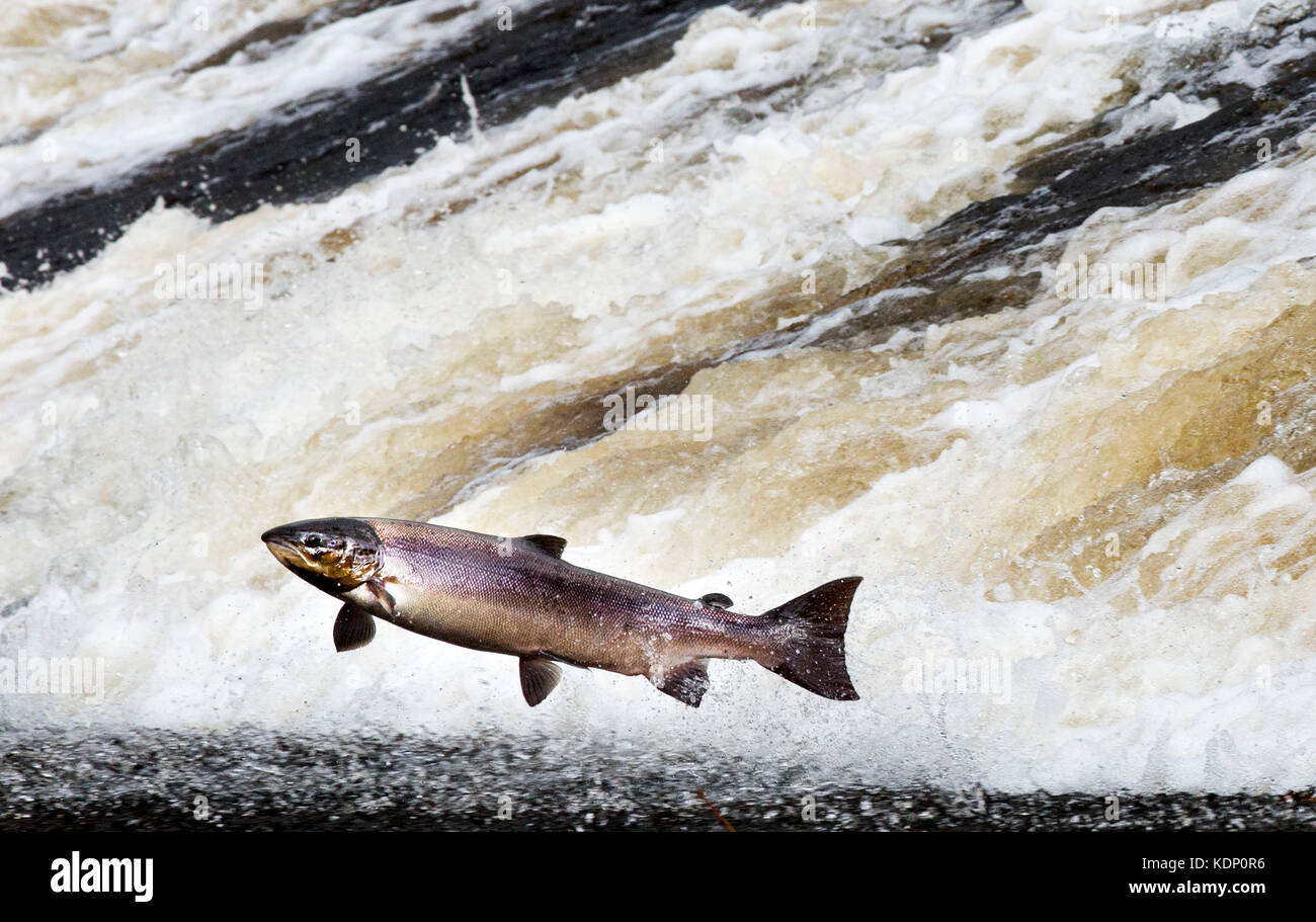 Ettrick water scottish borders uk hi-res stock photography and images ...