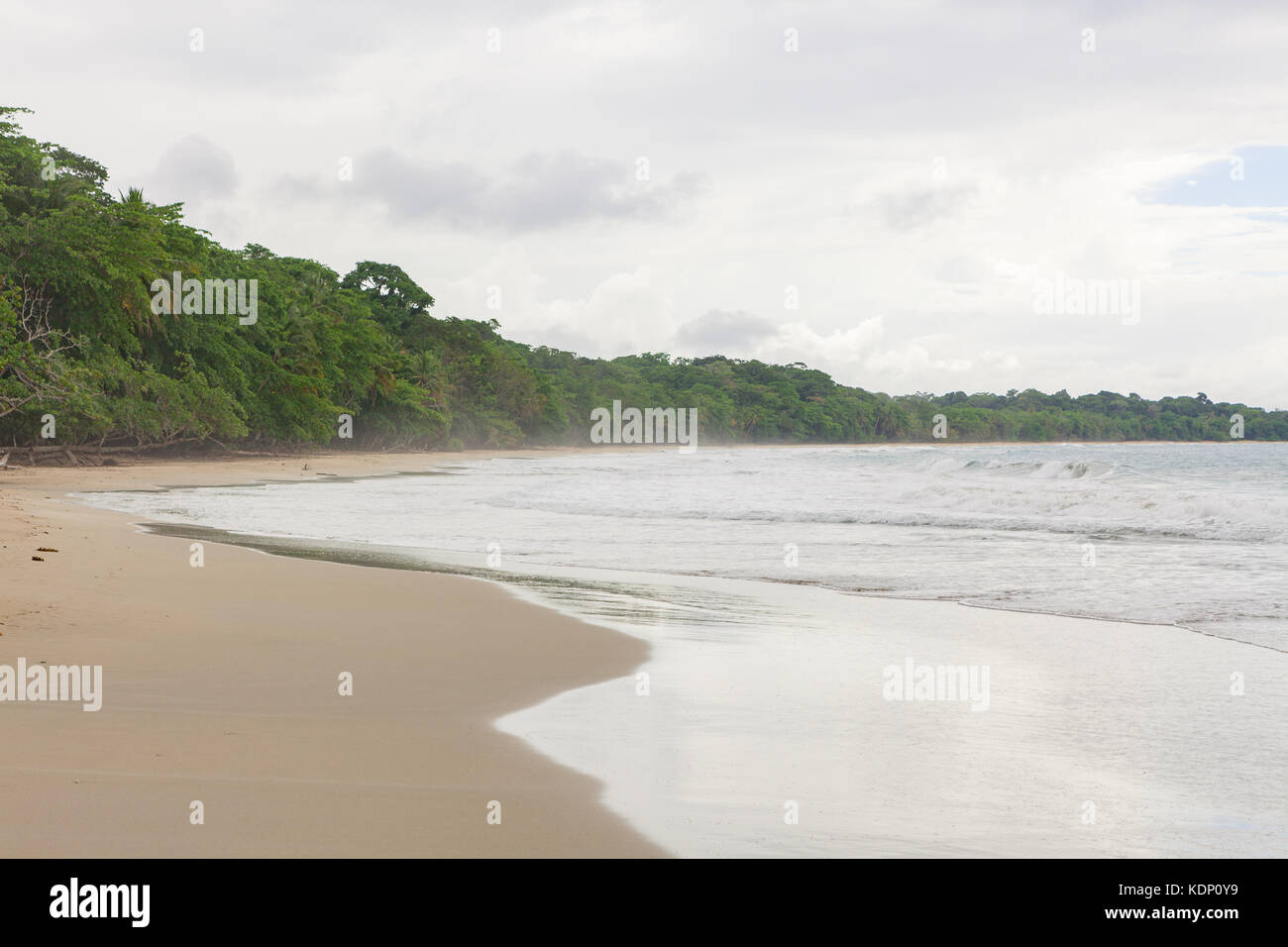 Tropical paradise beach Costa Rica Stock Photo - Alamy