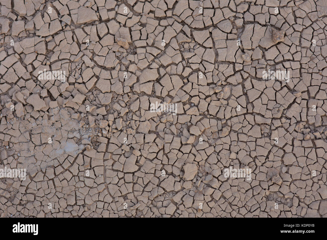 Cracked ground dry earth dry land texture background,Dehydration plants ...