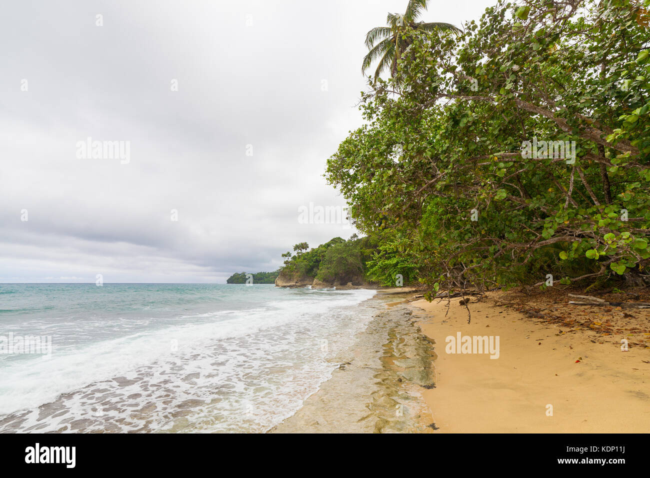 Tropical paradise beach Costa Rica Stock Photo - Alamy