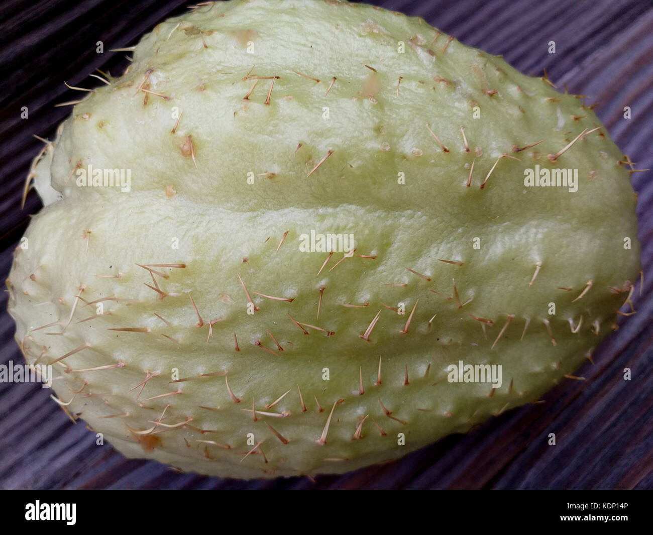 Chayote cultivation hi-res stock photography and images - Alamy