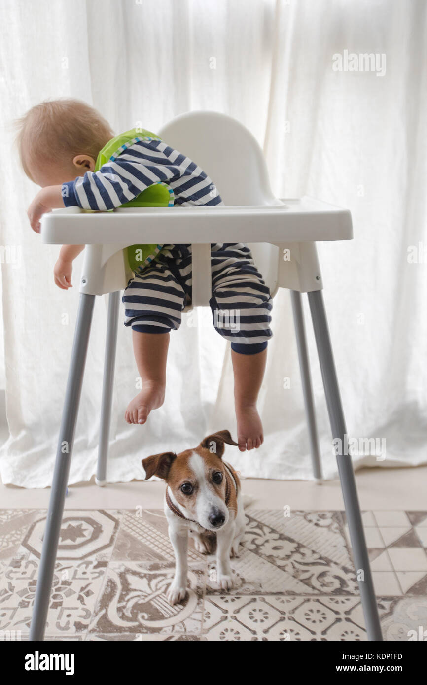 Cute boy and dog under high chair on a white background Stock Photo - Alamy