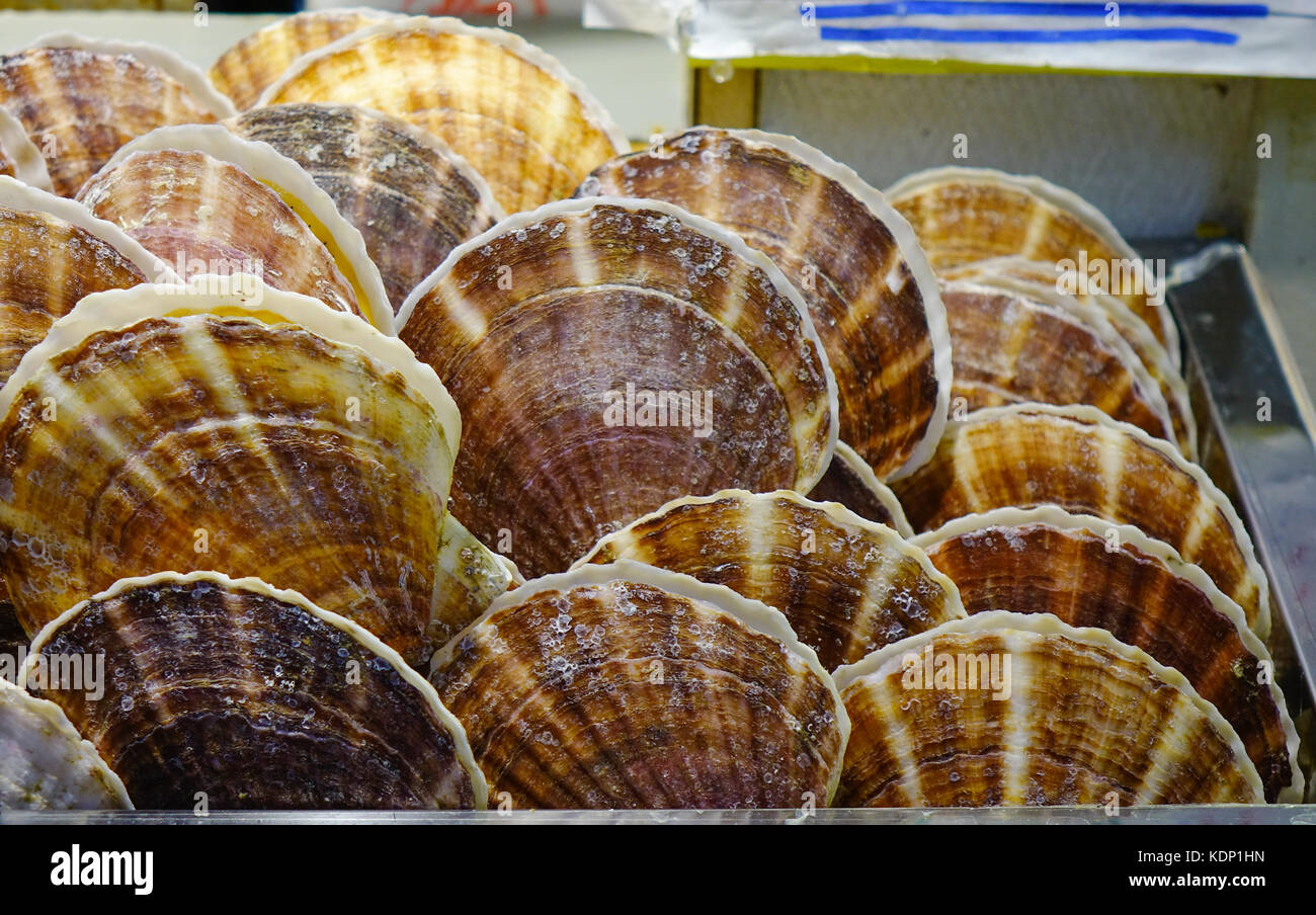 Scallop for sale at a Asaichi Market in Hokkaido, Japan Stock Photo - Alamy