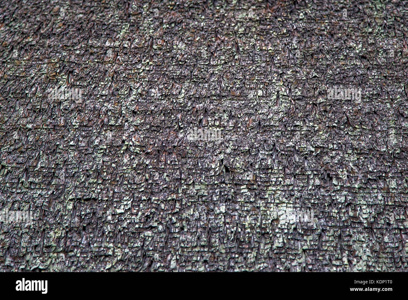 Closeup view at old japanese roof background texture Stock Photo - Alamy