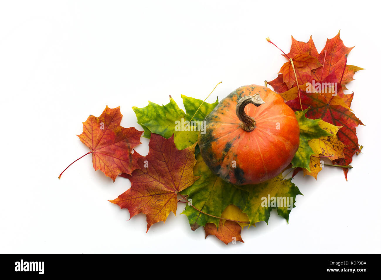 Halloween pumpkins corner decor hi-res stock photography and images - Alamy
