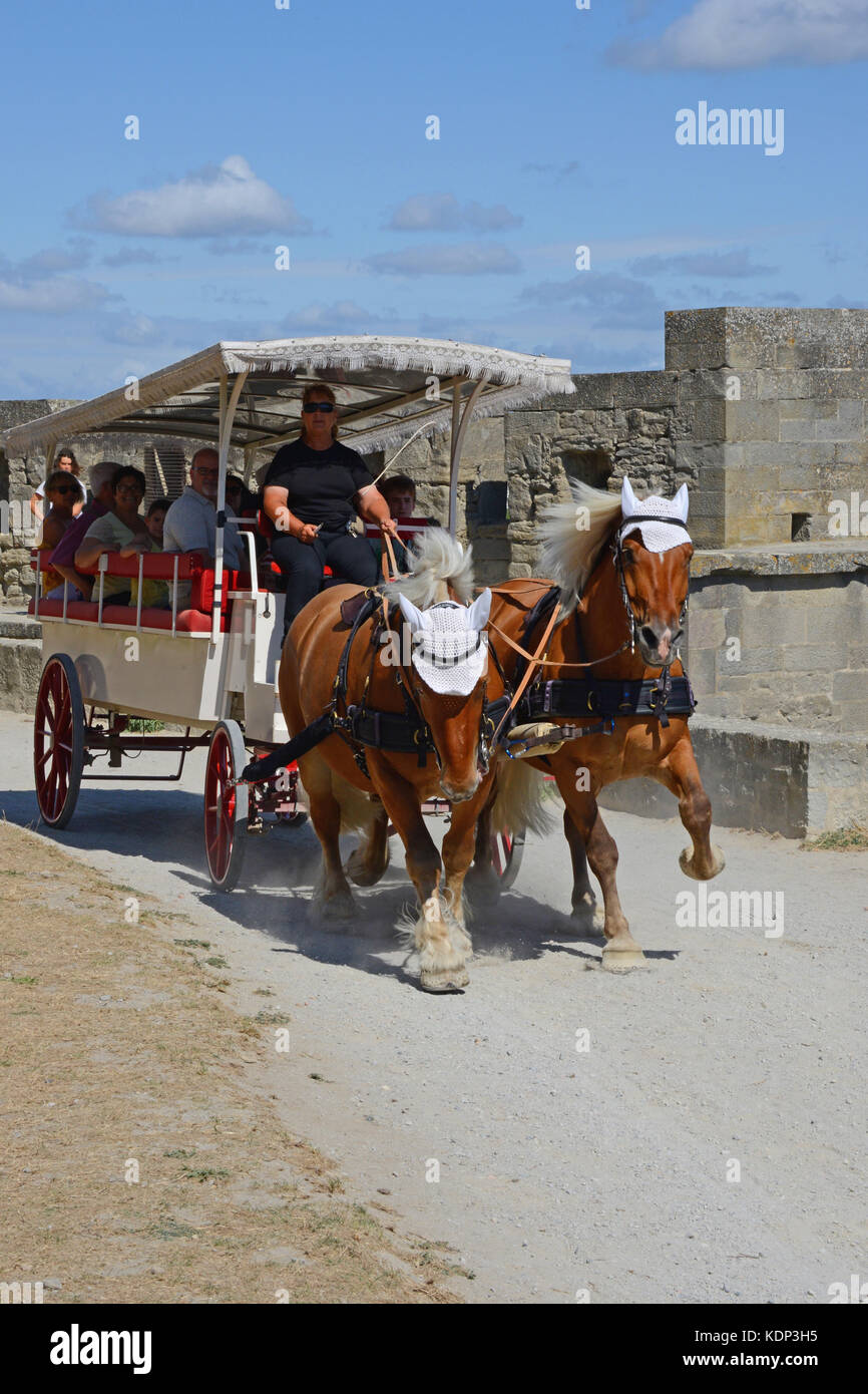 Horses and carriage travelling around castle at Carcassonne, France ...