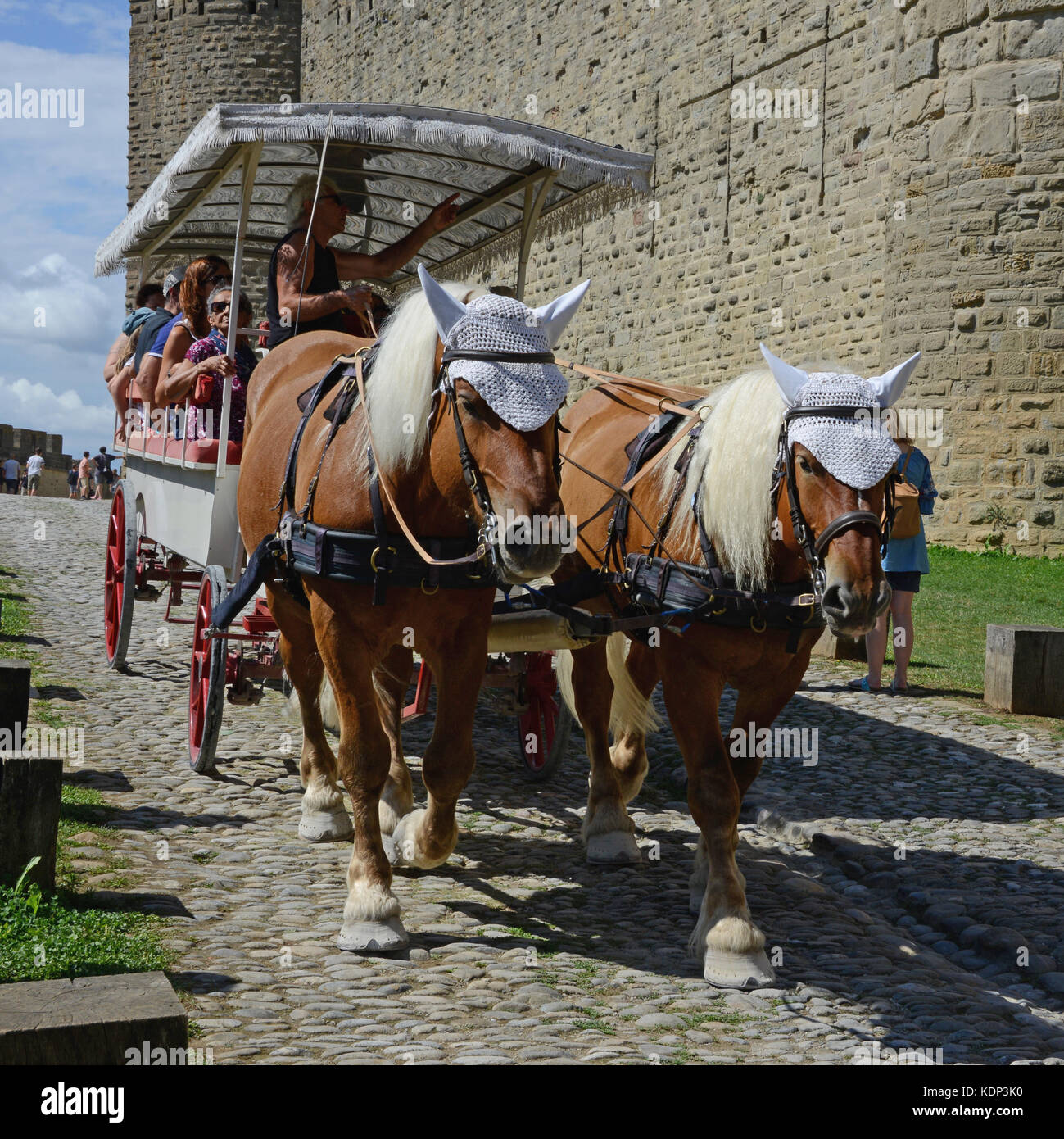 Horses and carriage travelling around castle at Carcassonne, France ...