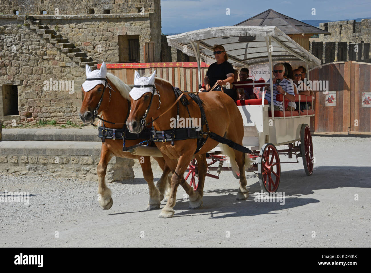 Horses and carriage travelling around castle at Carcassonne, France ...