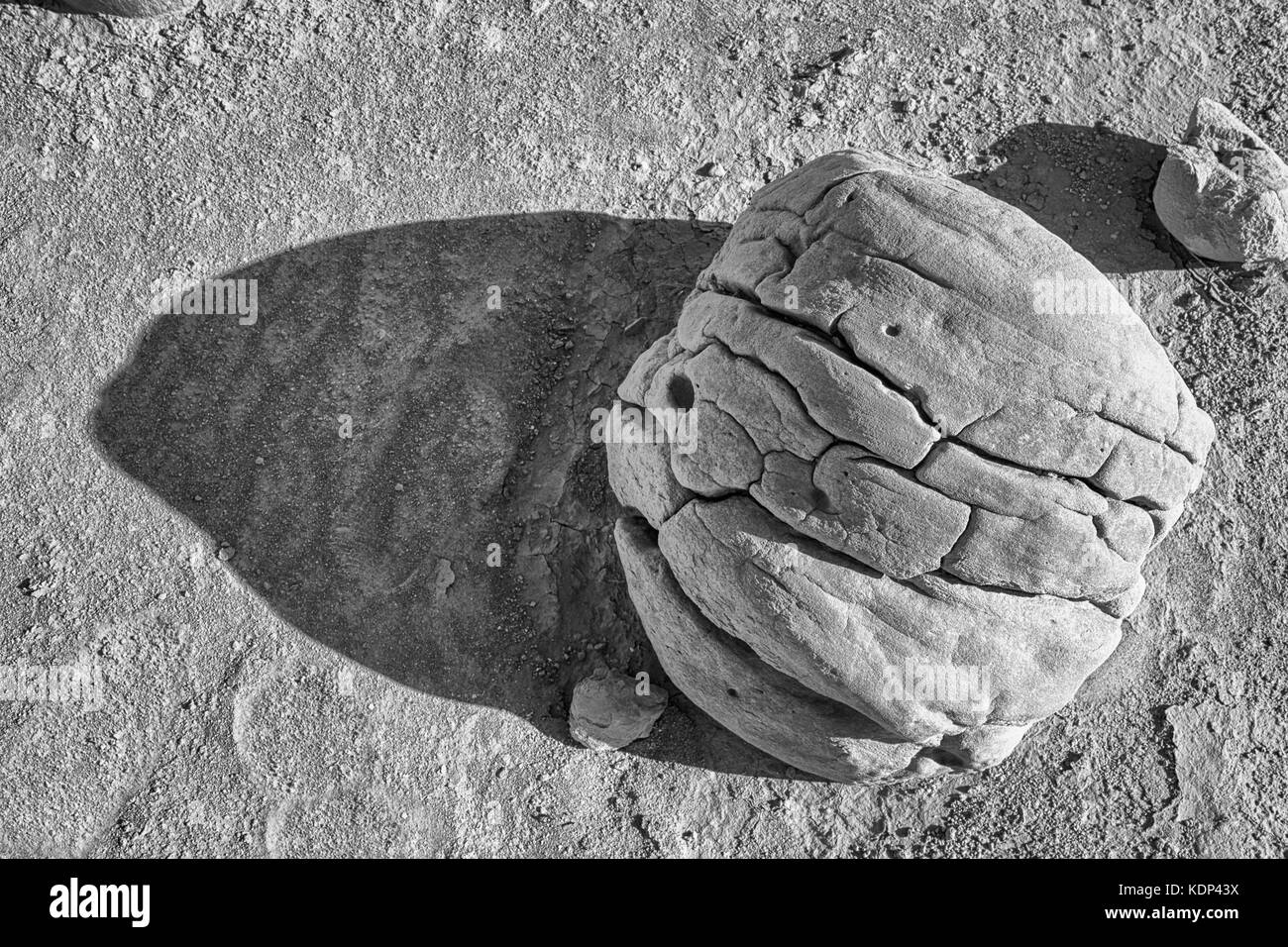 Concretion boulder rocks in desert Anza Borrego State Park Stock Photo ...