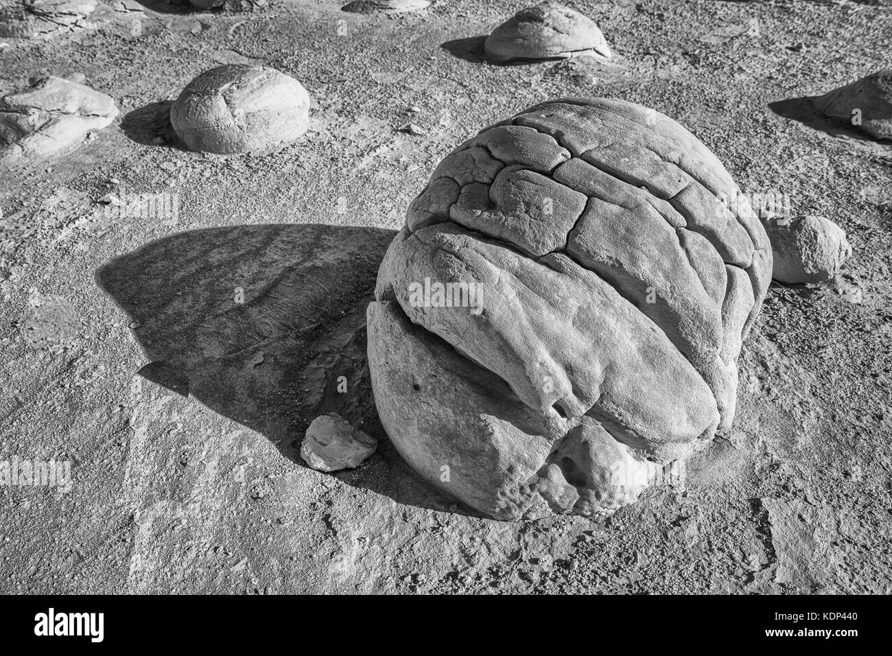 Concretion boulder rocks in desert Anza Borrego State Park Stock Photo ...