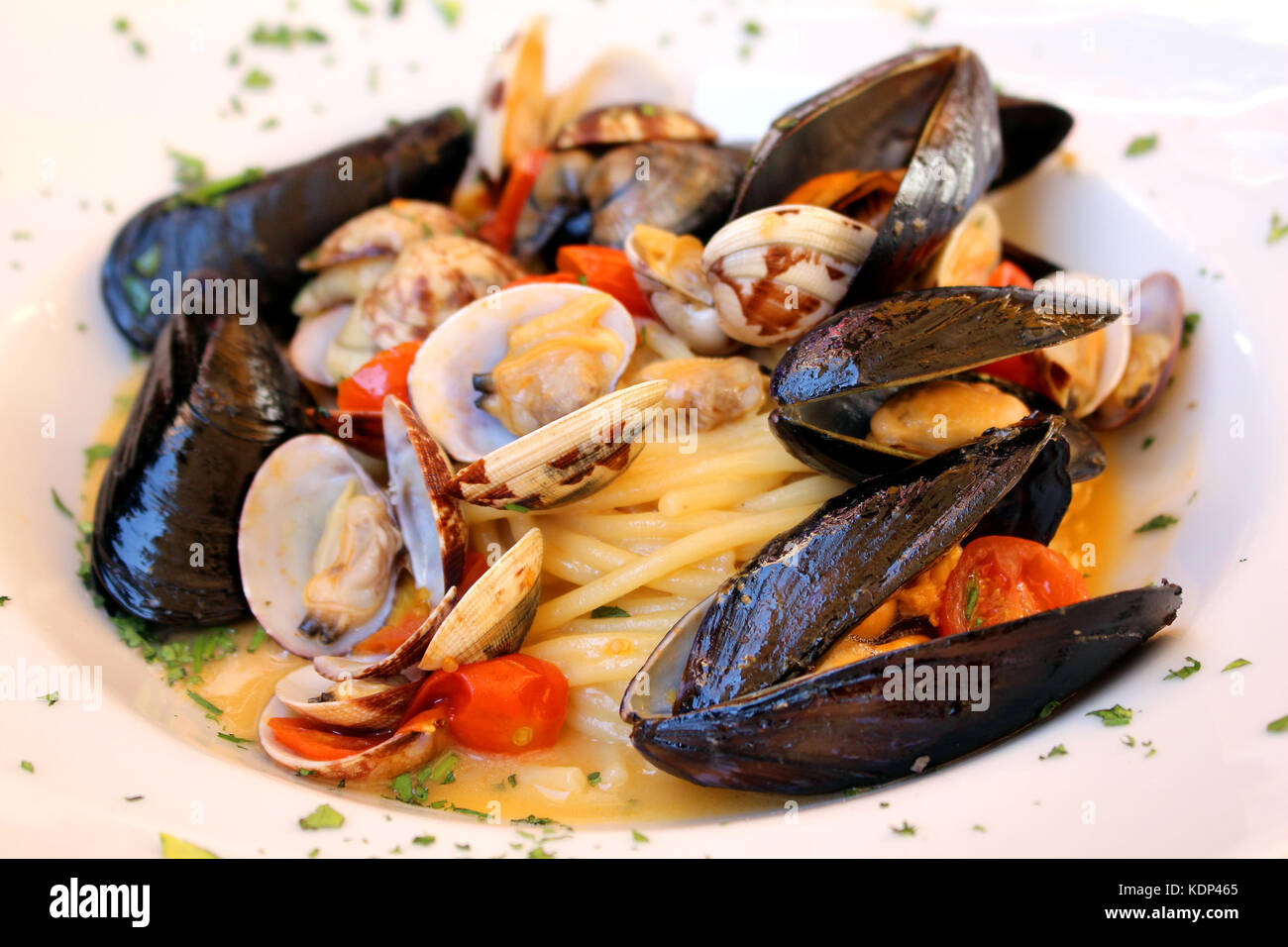 Fresh seafood pasta with shells and tomato Stock Photo - Alamy