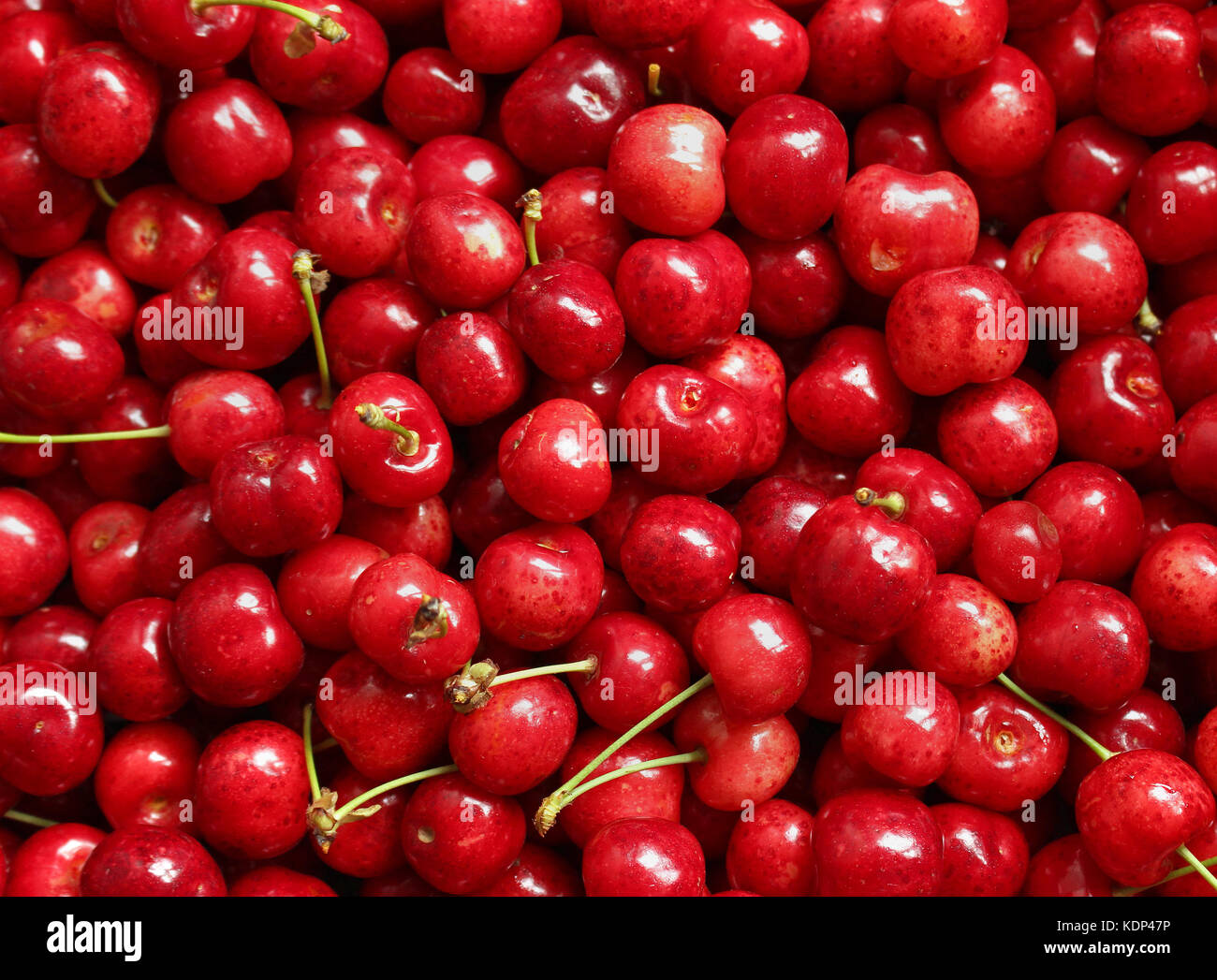 The big cherries hi-res stock photography and images - Alamy