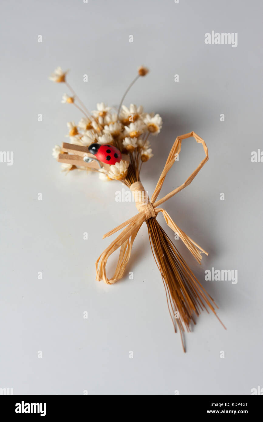 Cluster of small flowers hi-res stock photography and images - Alamy