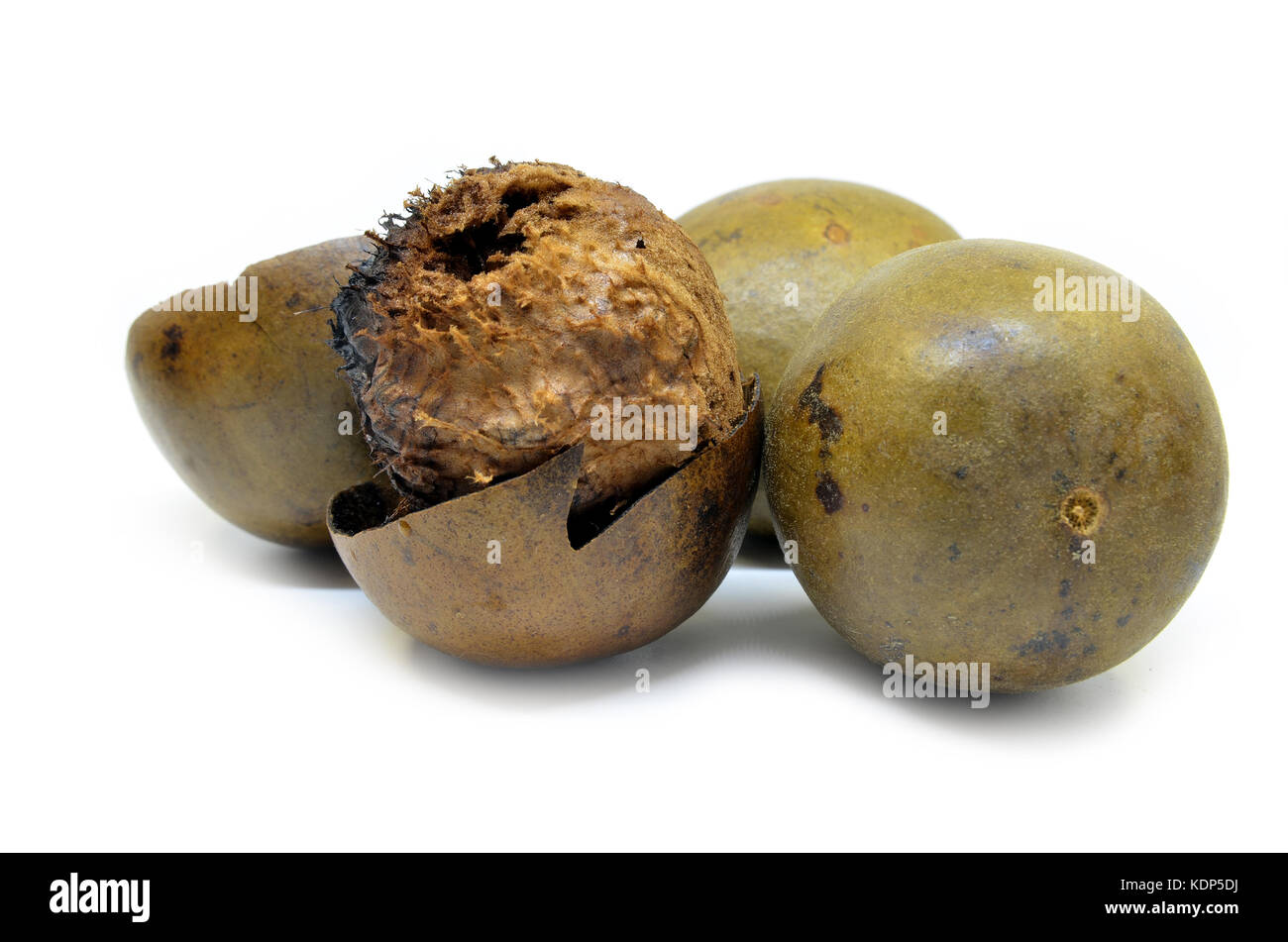 Lo Han Guo, Monk or Buddha fruit, a common ingredient or food in ...