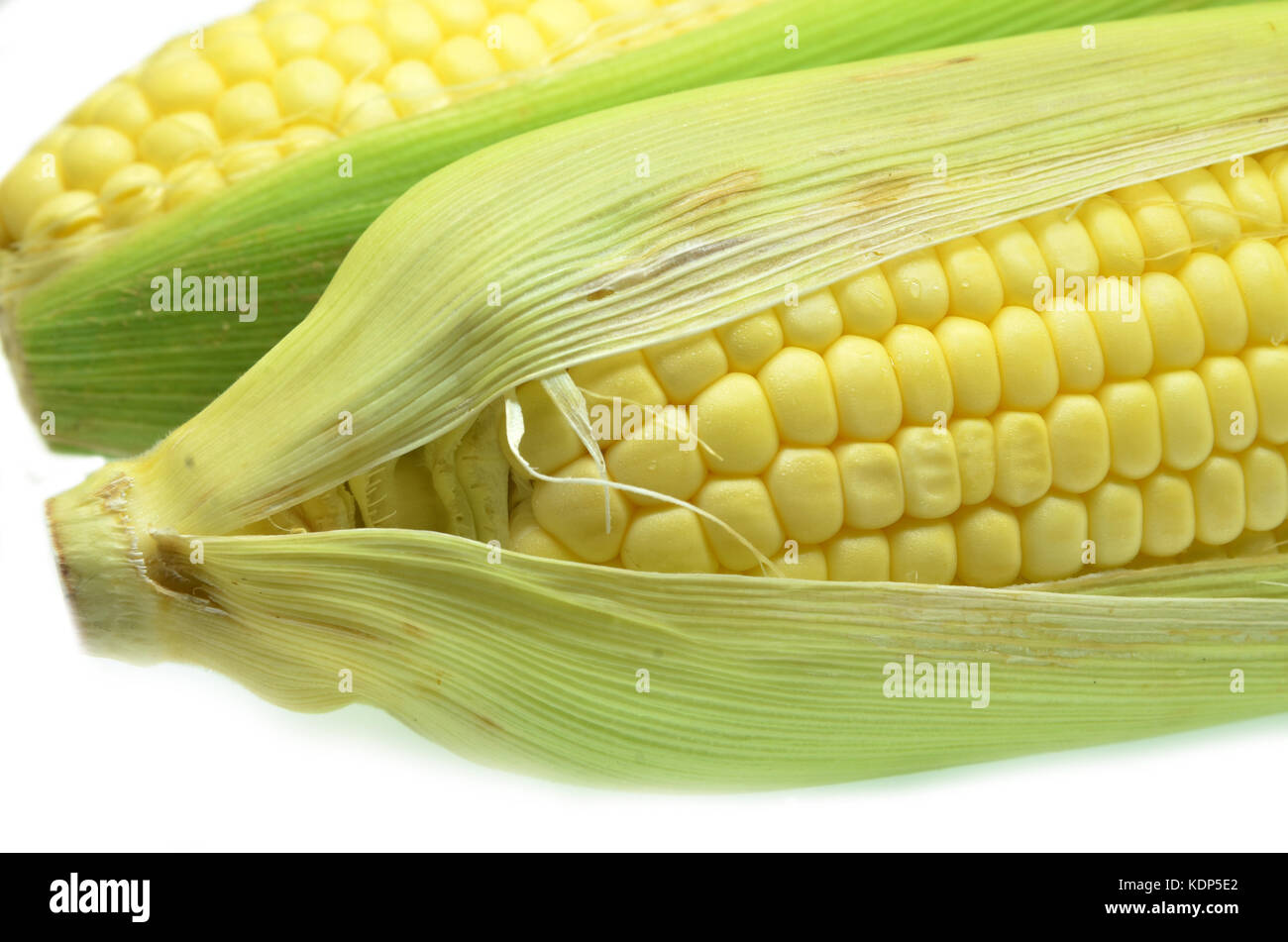 Ear of corn revealing yellow kernels. Grains of ripe corn photo of ...