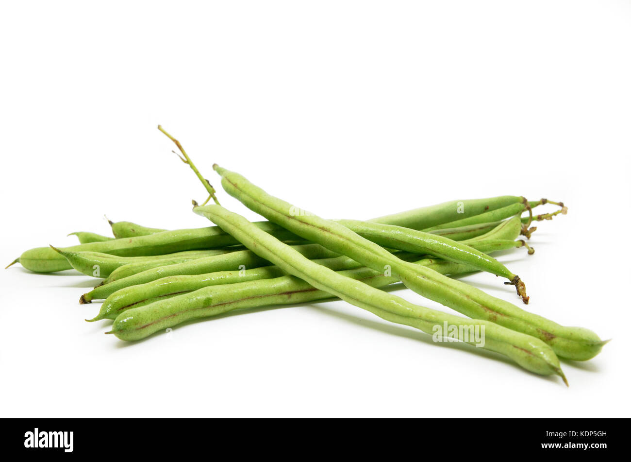 French green bean string isolated on white background Stock Photo - Alamy