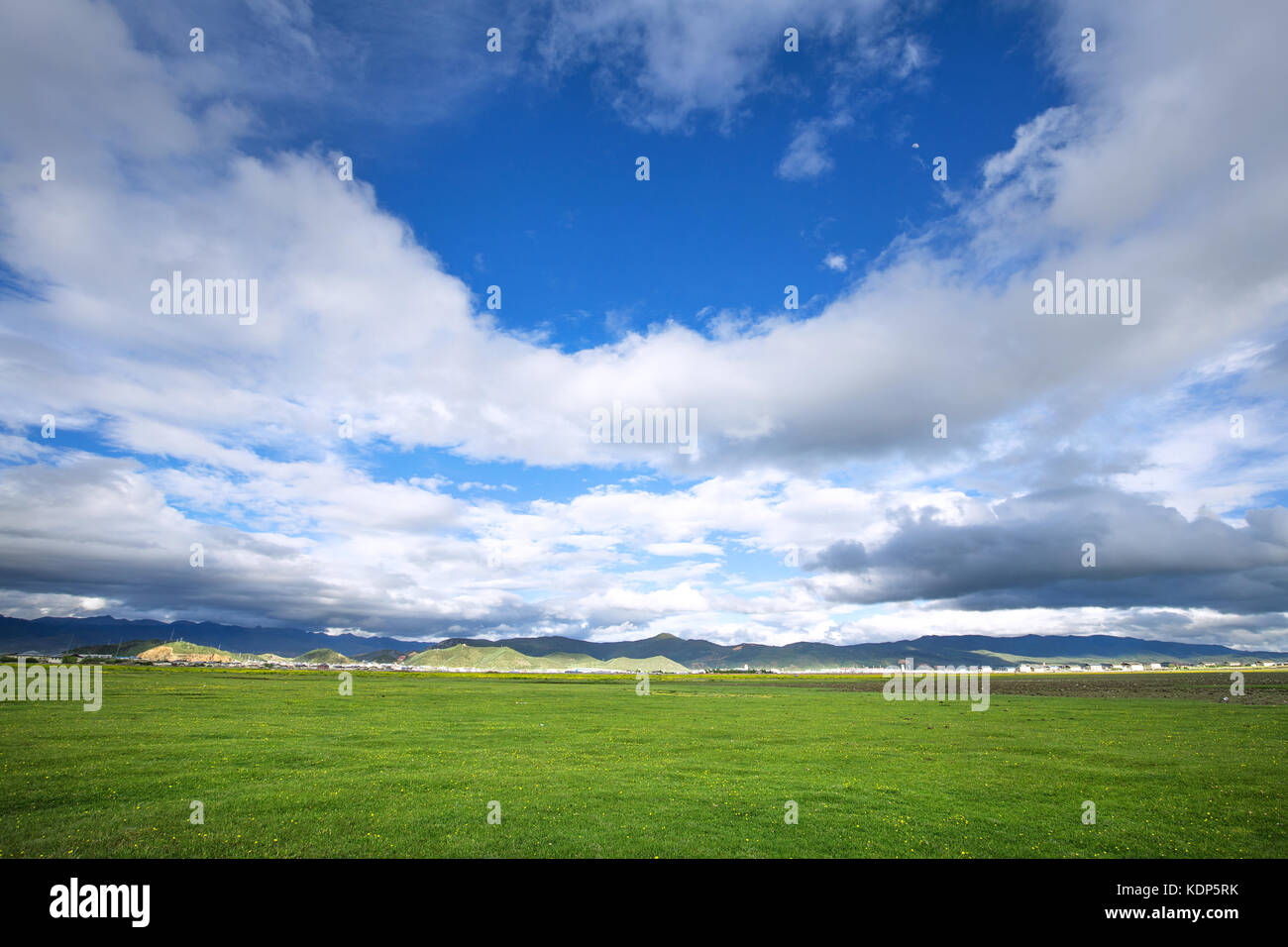Lawn with sky Stock Photo - Alamy