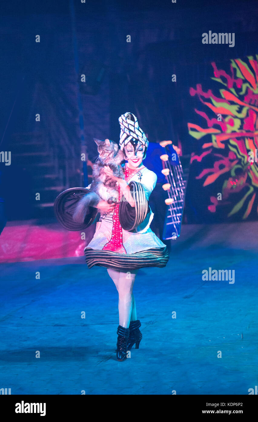 cat circu pet performance Stock Photo - Alamy