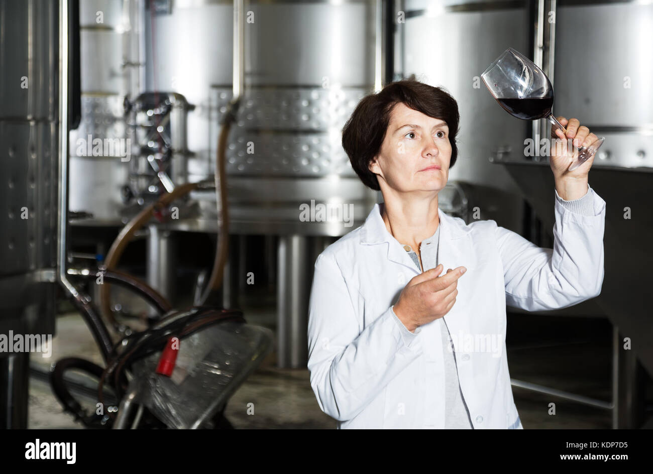 Sommelier woman with glass of red wine near tank on winery Stock Photo ...