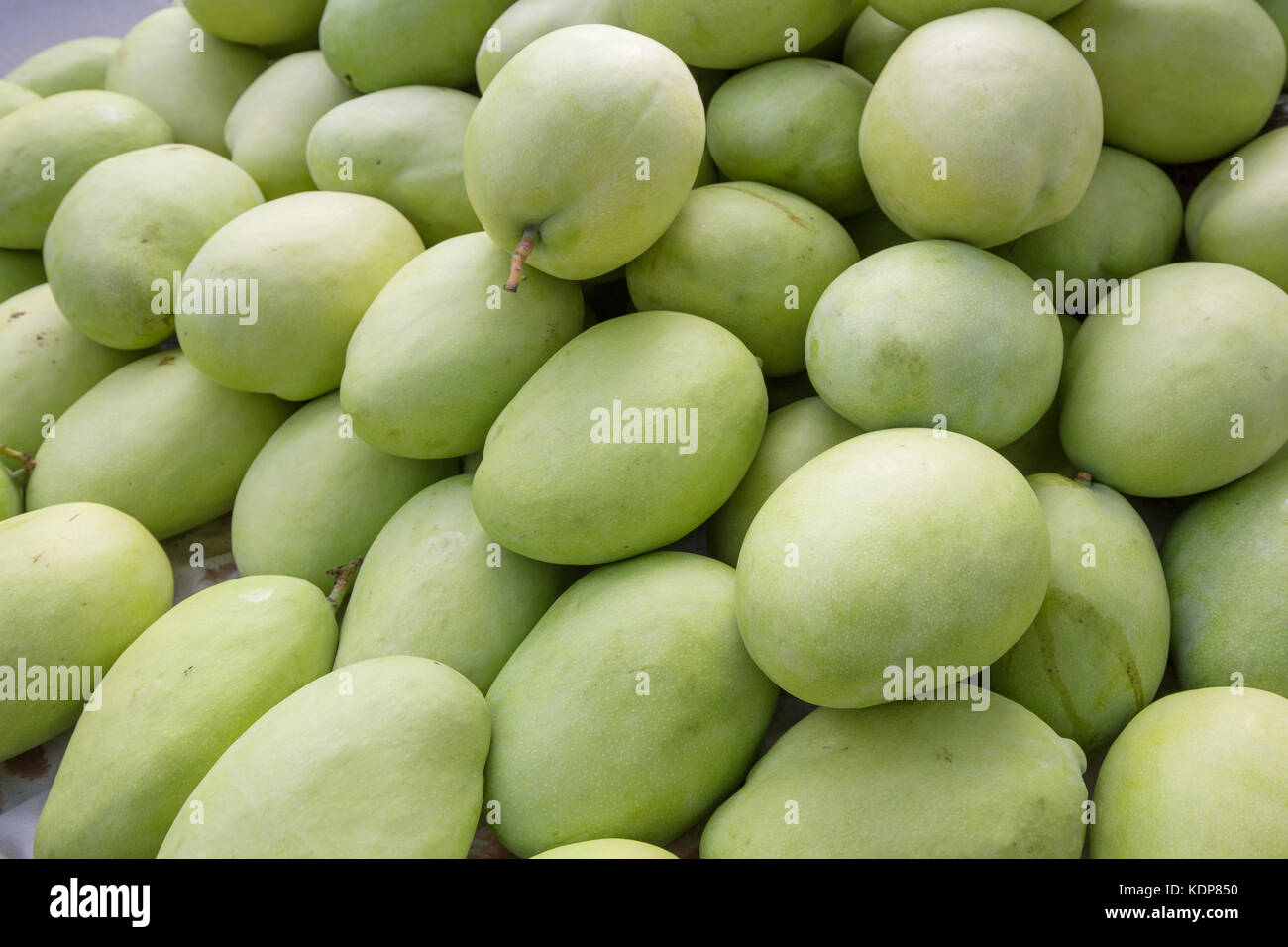 Closeup pile green mangoes hi-res stock photography and images - Alamy