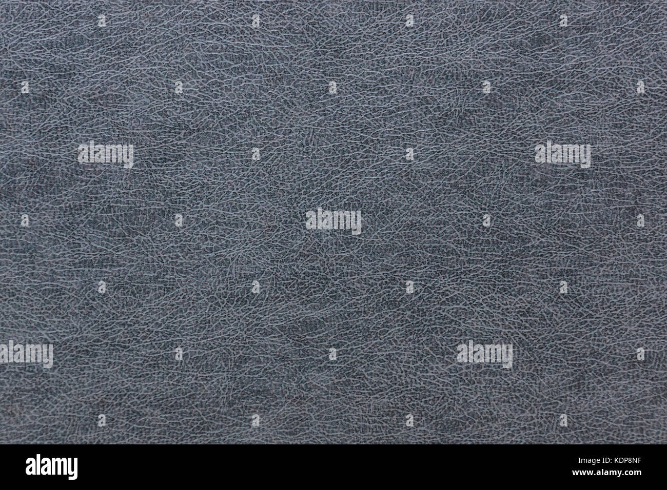 the texture of the skin of gray color, book cover, Studio, still life ...