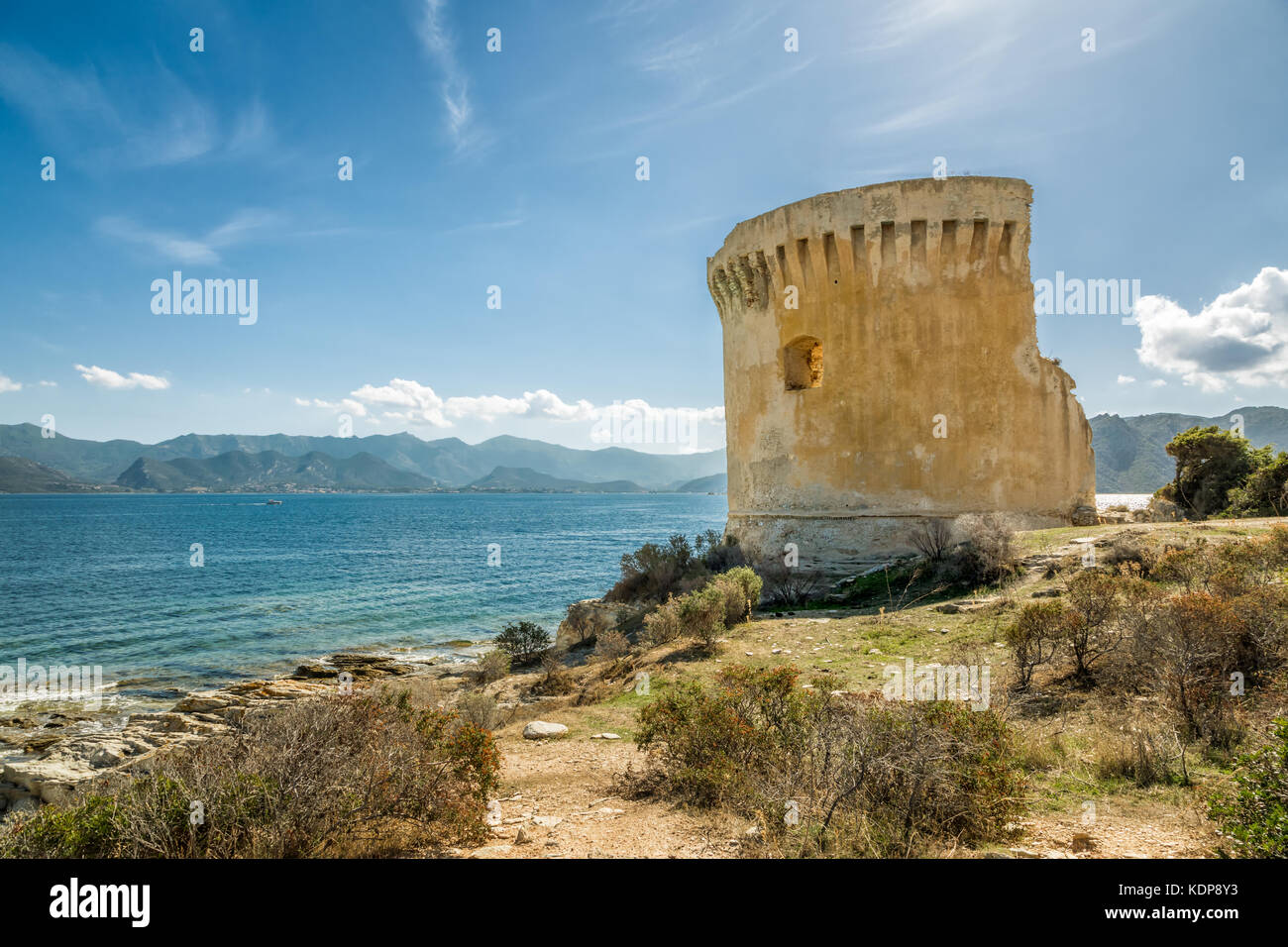 Ruins of the Genoese tower at Mortella beside the mediterranean sea on ...