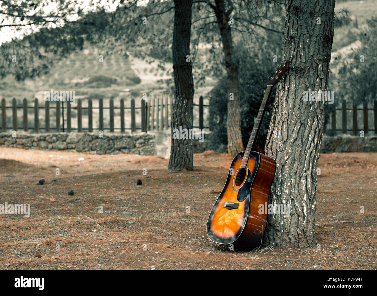 guitar outdoors laying on a tree and dead yellow leafs on the ground at ...