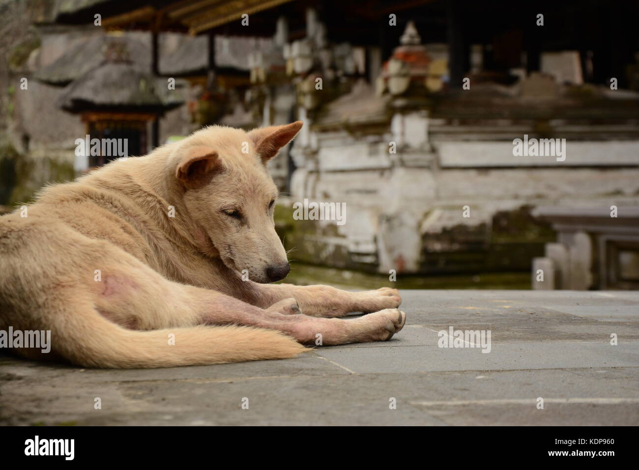 Gunung kawi temples hi-res stock photography and images - Alamy