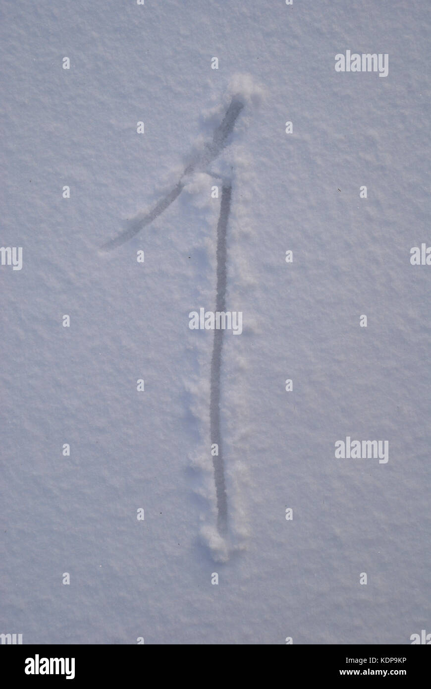 Winter numbers handwritten on snow background Stock Photo - Alamy
