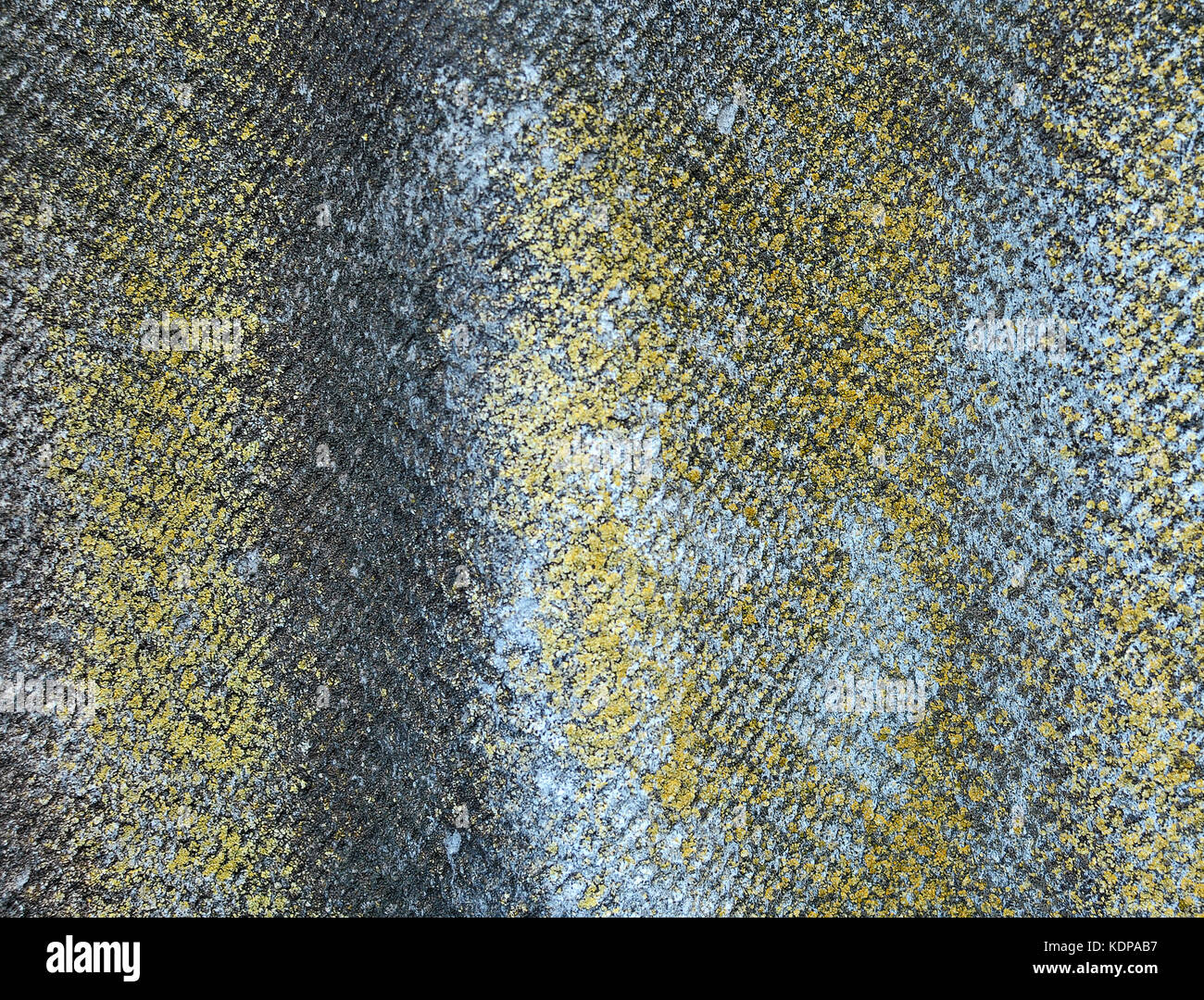 Lichen-covered old wavy slate background. Aged wavy slate with moss ...