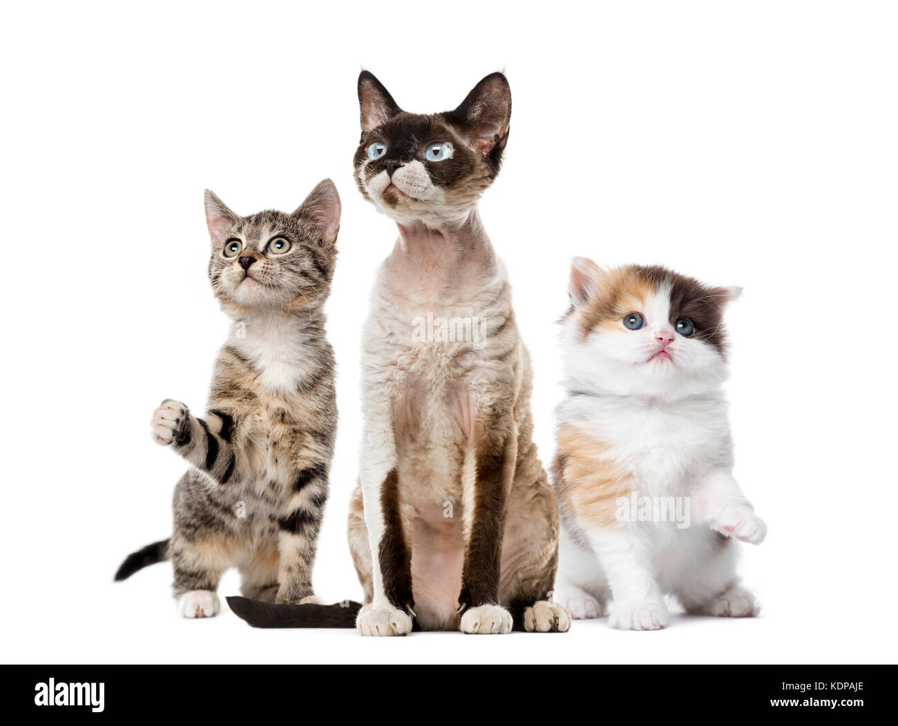 Group people sitting Cut Out Stock Images & Pictures - Alamy