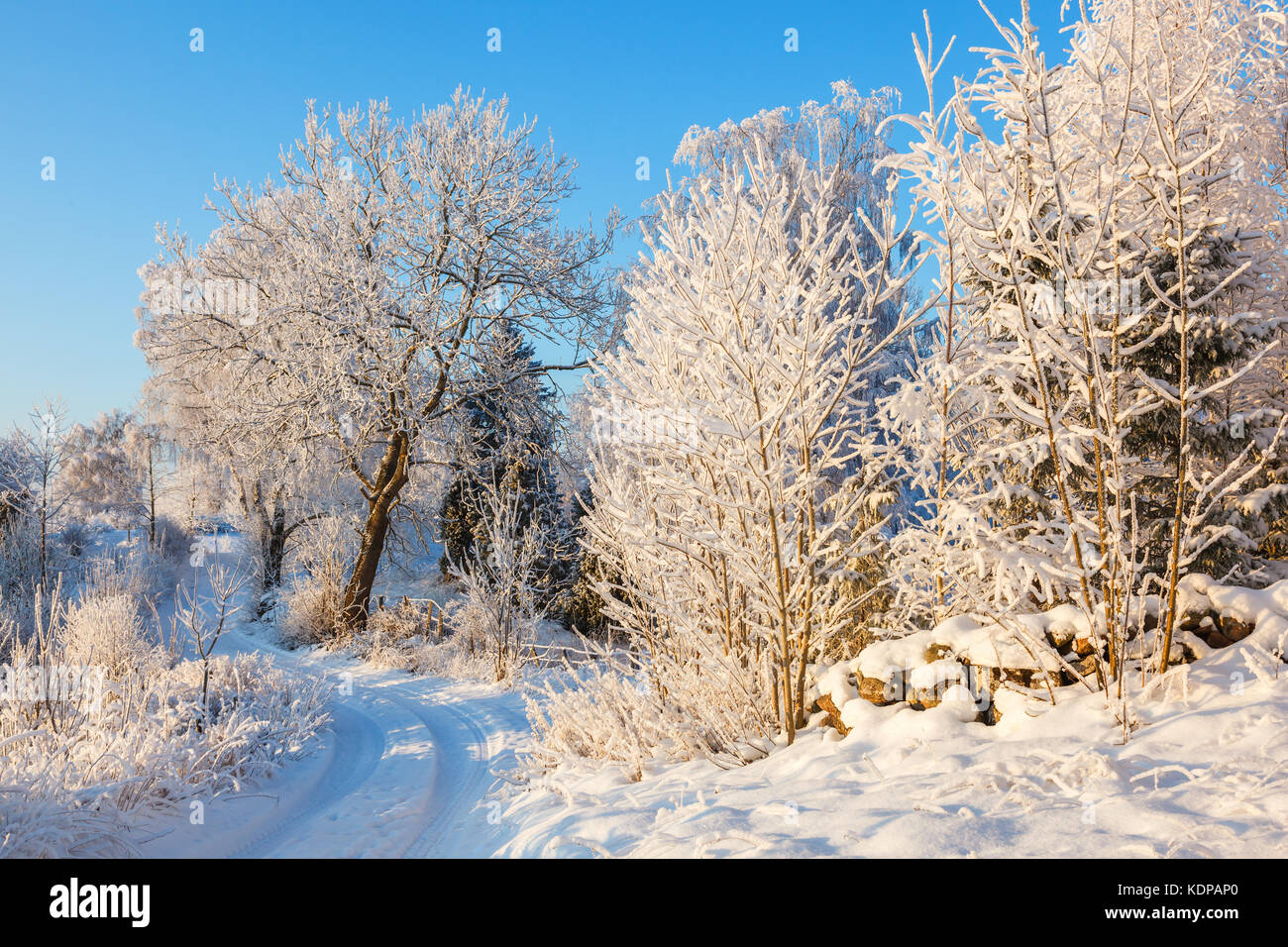 Idyllic winter landscape with a winding road Stock Photo - Alamy