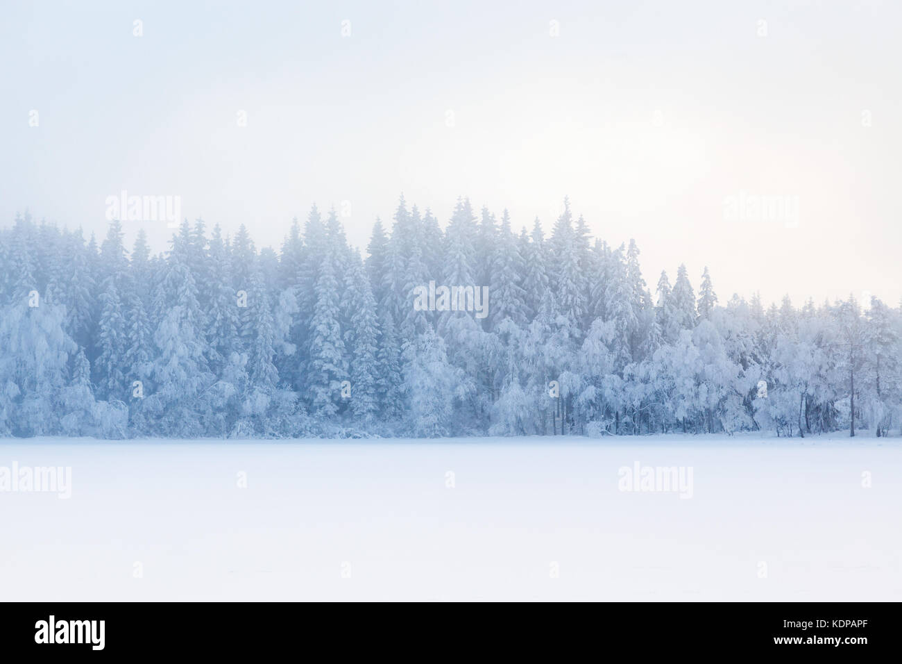 Cold fog over the snow covered lake with a forest in the winter Stock ...