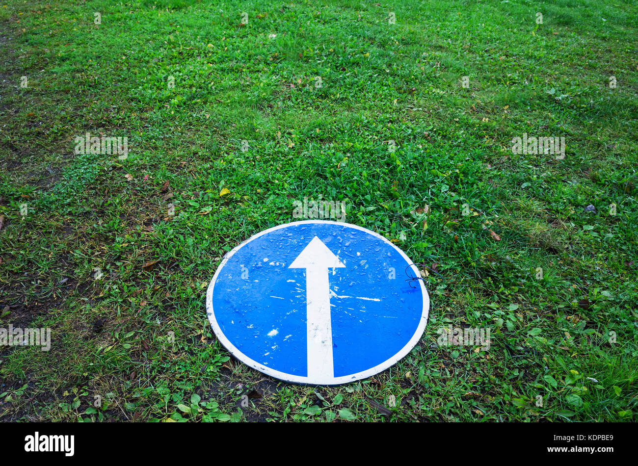 Ahead only, round blue road sign with white arrow lays on green grass ...