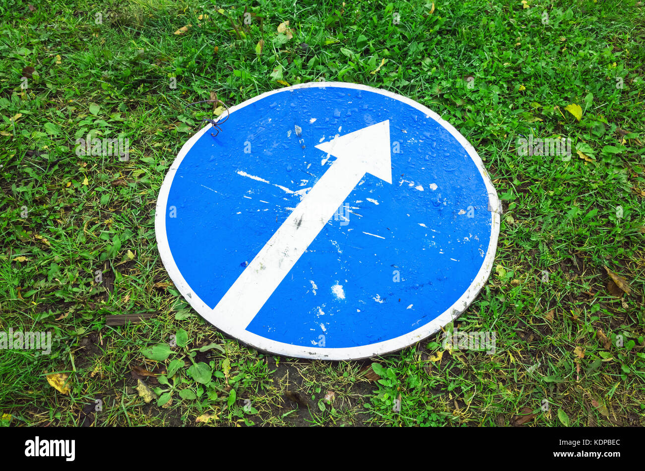 Ahead only, round blue road sign with white directional arrow lays on ...
