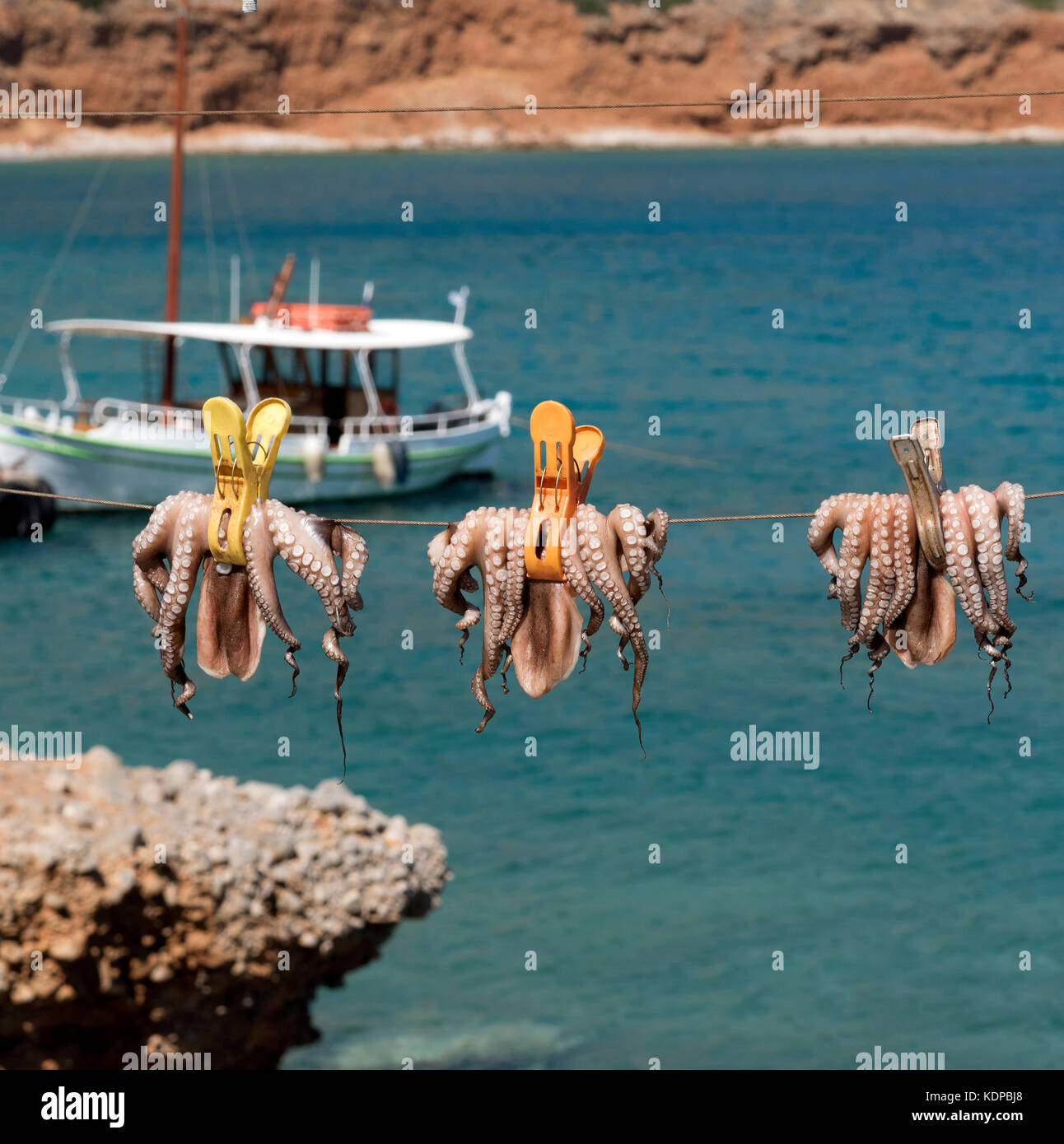 Octopus hanging out to dry on a fisherman's line. Crete, Greece ...