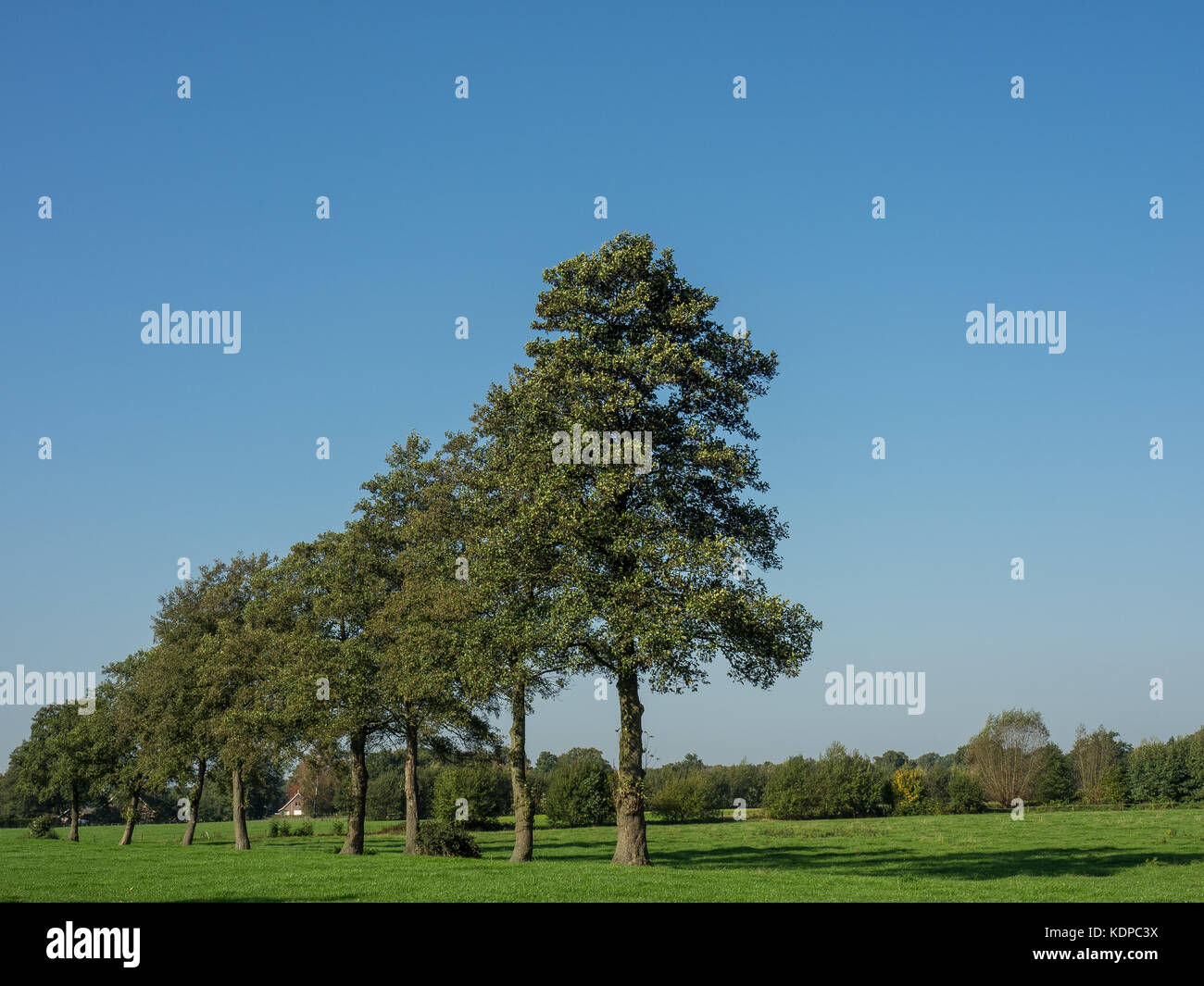 haaksbergen in the netherlands Stock Photo - Alamy