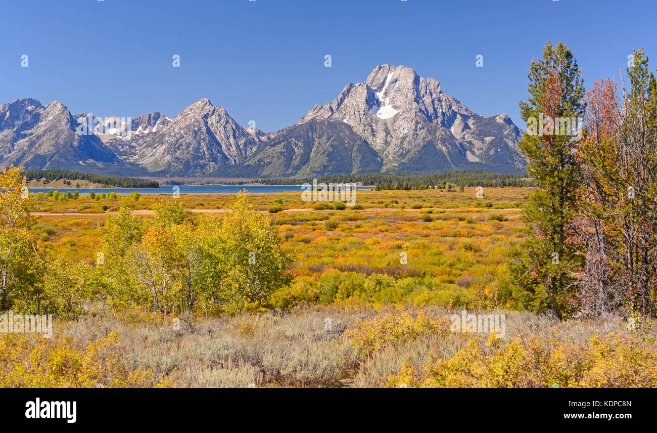 Fall Colors with Mt Moran in Grand Tetons National Park in Wyoming ...