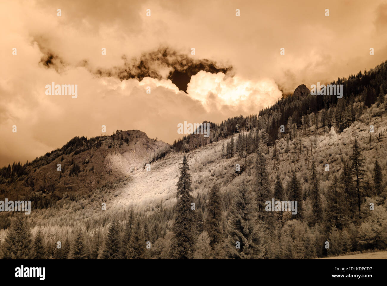 mountain view from forest with tree trunks in slovakia. infrared image ...