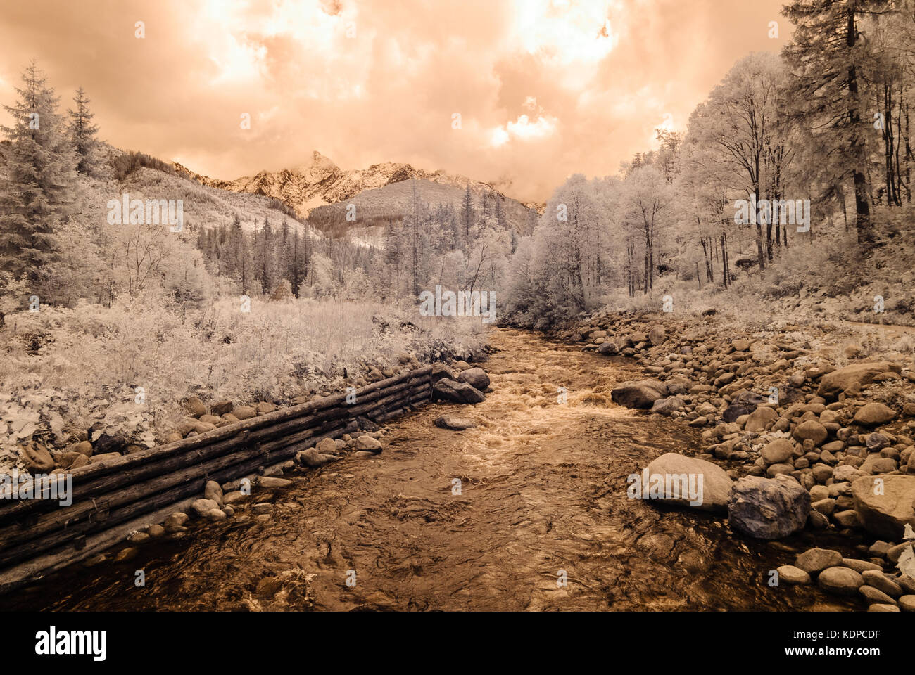mountain view from forest with tree trunks in slovakia. infrared image ...