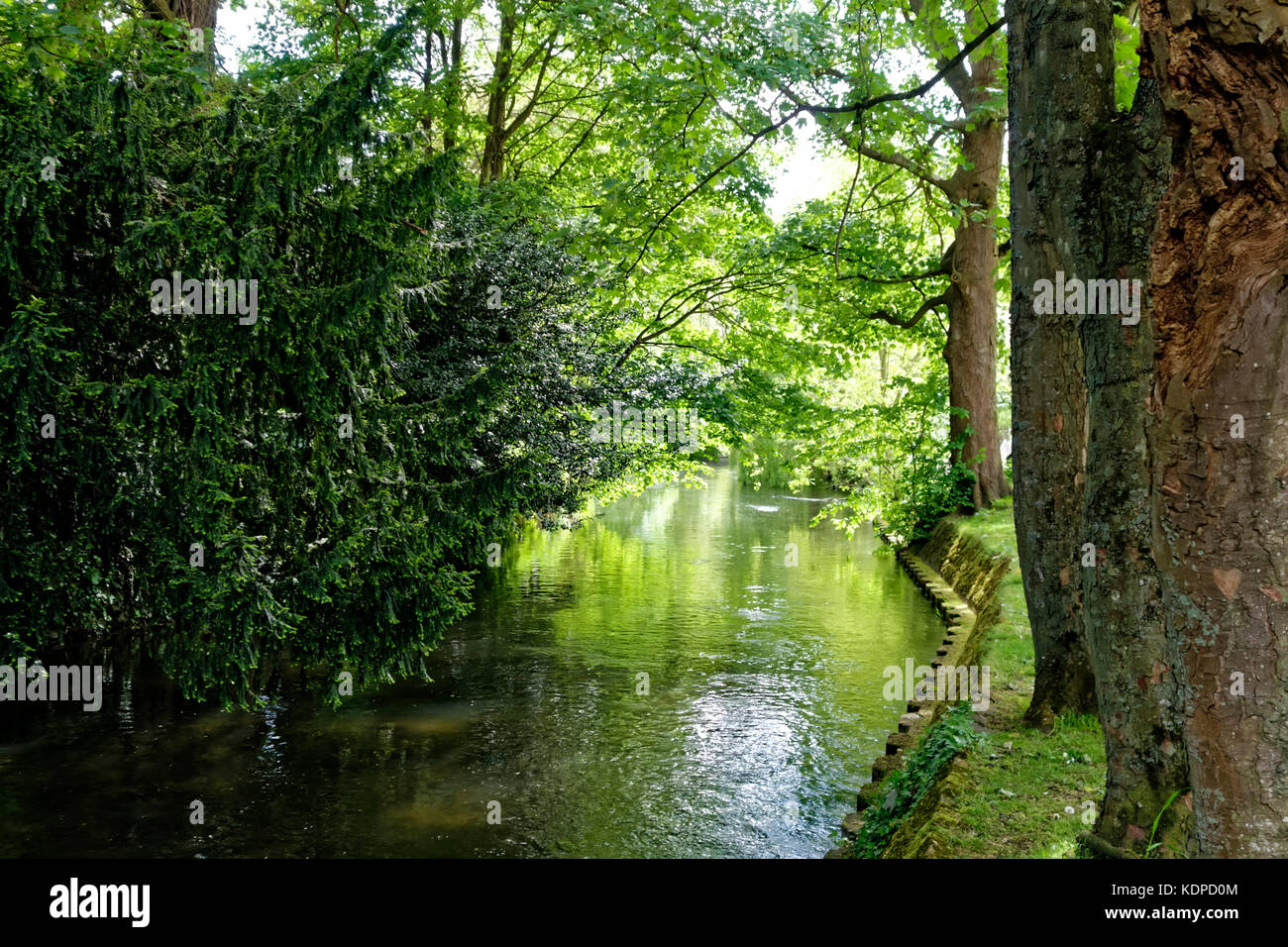 Salisbury river avon hi-res stock photography and images - Alamy
