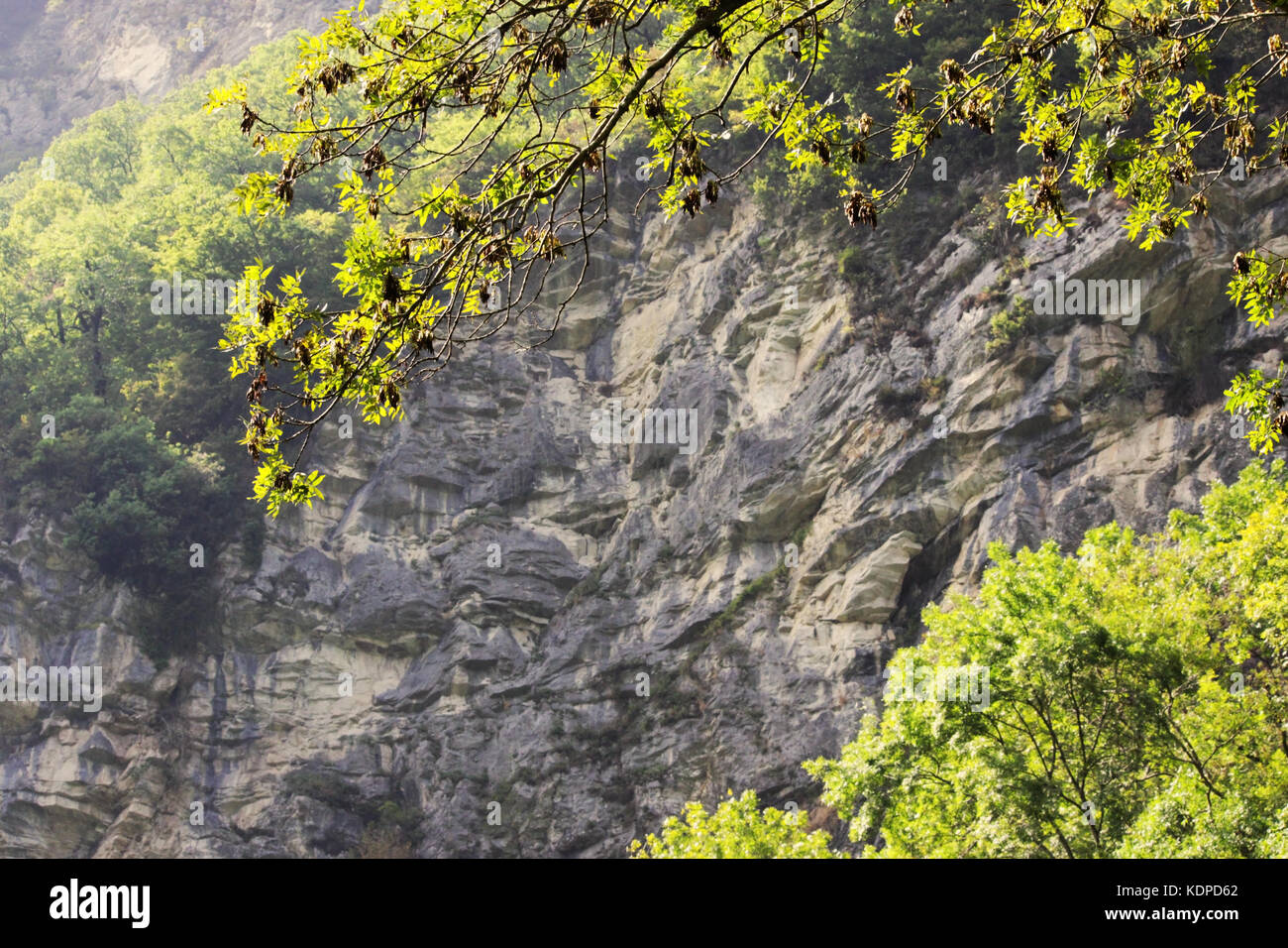 Eagle Rocks, Krasnodar Territory. Absolutely vertical cliffs covered ...
