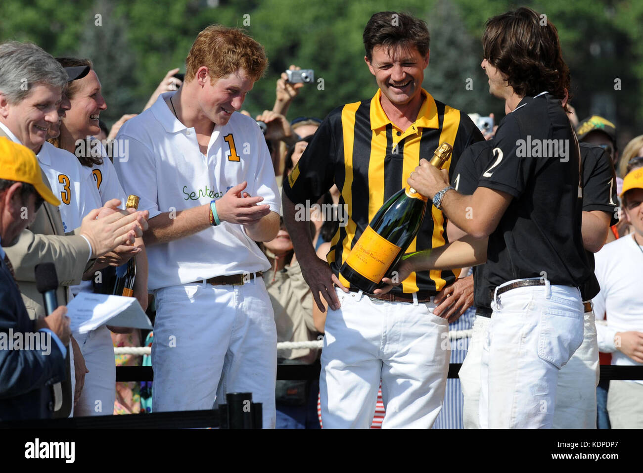 NEW YORK - MAY 30: Prince Harry attends the 2009 Veuve Clicquot ...