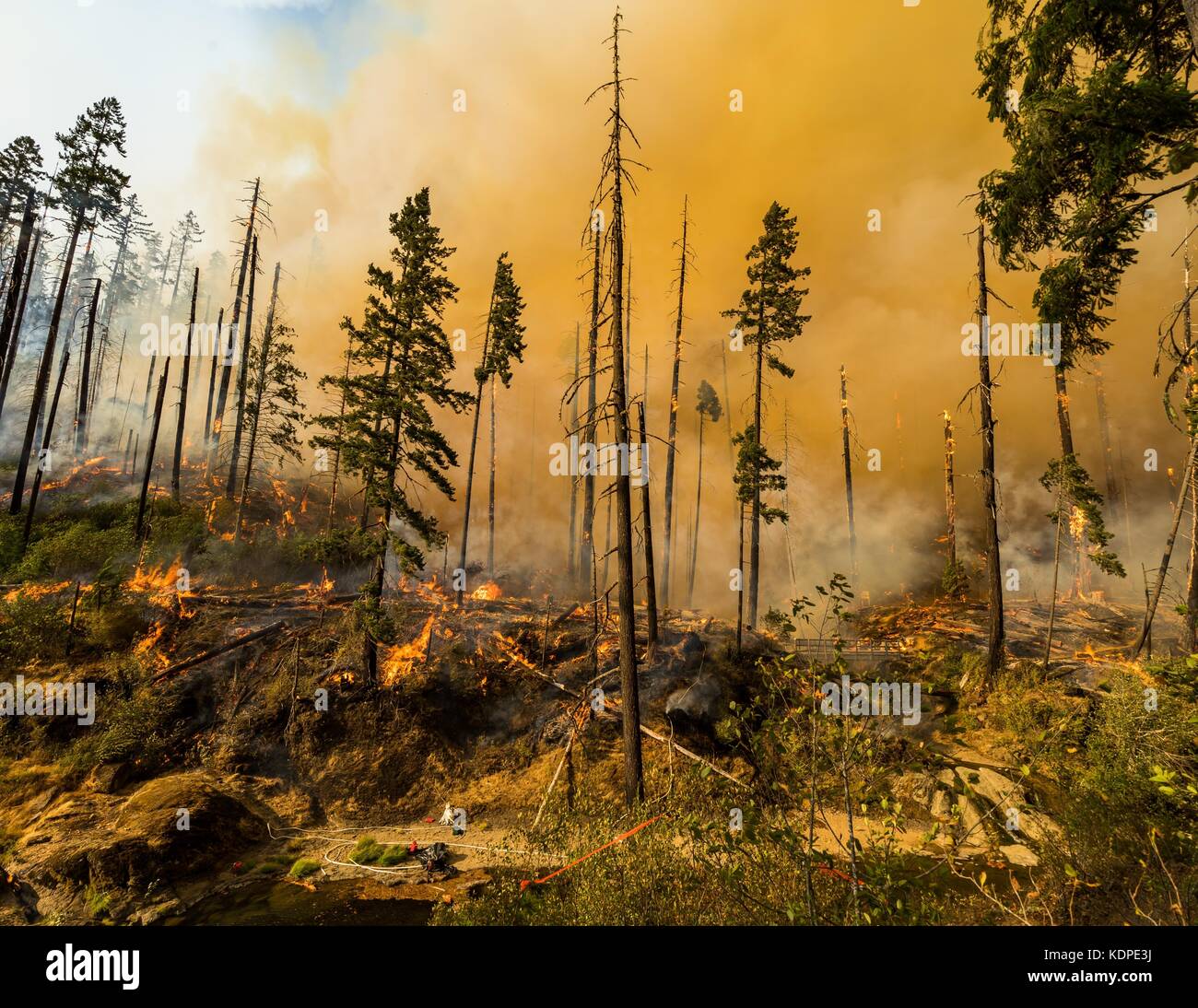 Flames and smoke consume trees in the Jones Complex forest fire burning ...