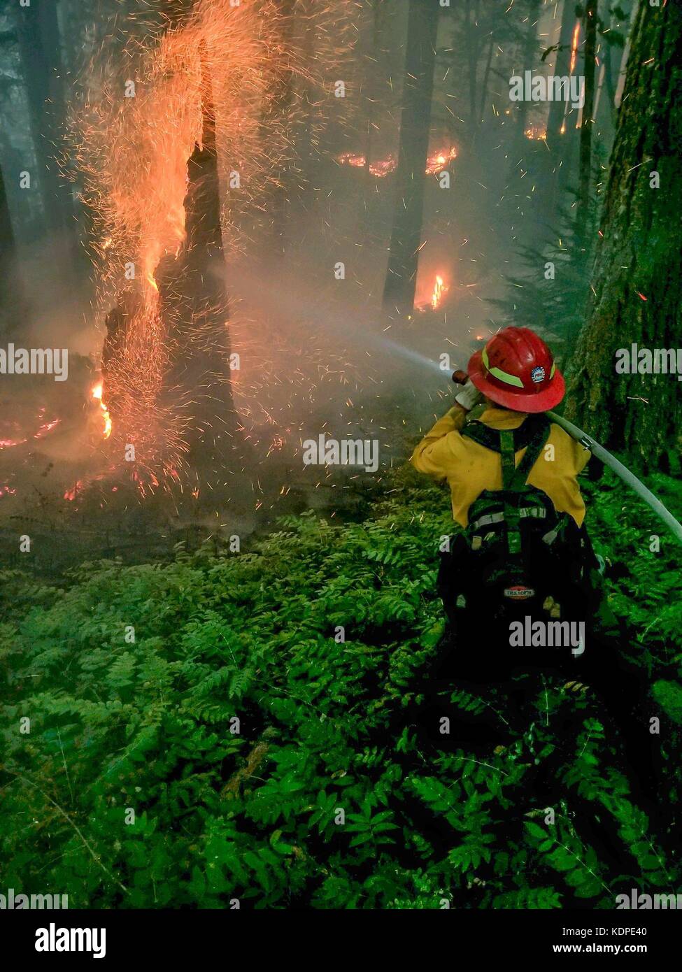 Backcountry fire fighters douse a flaming tree with water in the Jones ...