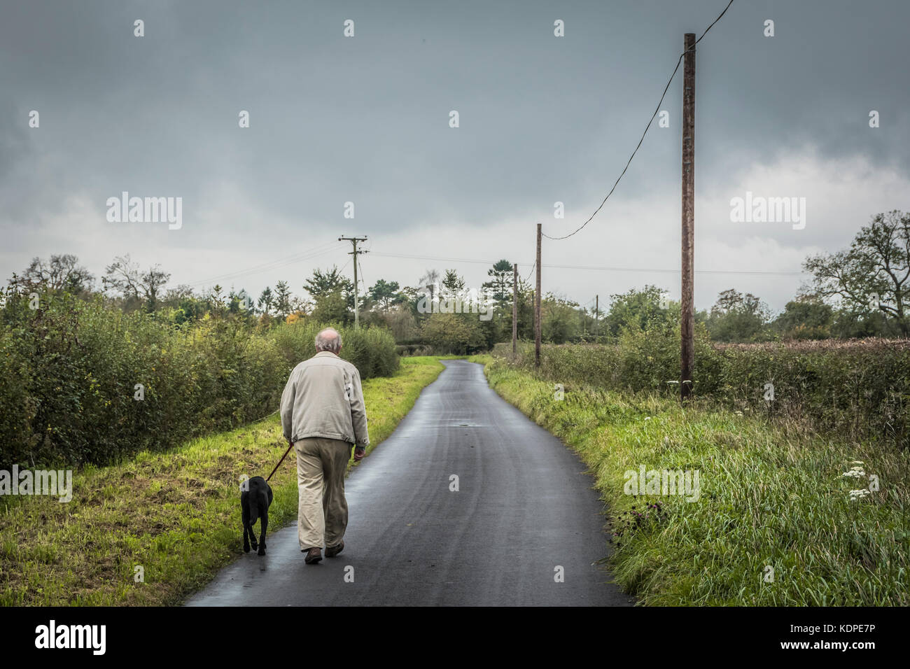 An elderly caucasian man walking along a country lane in Somerset ...