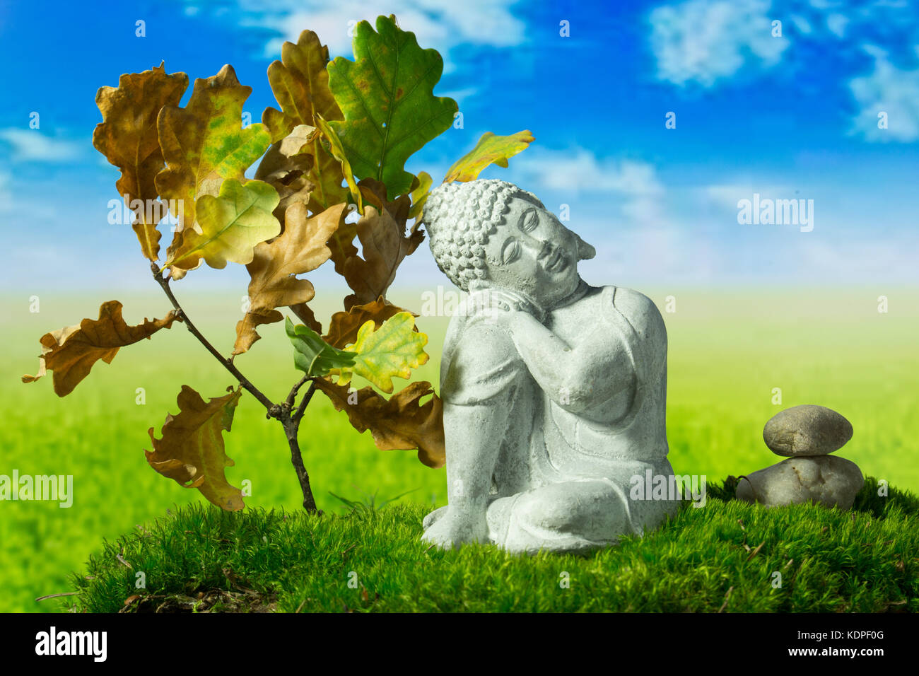 Buddha on tree hi-res stock photography and images - Alamy