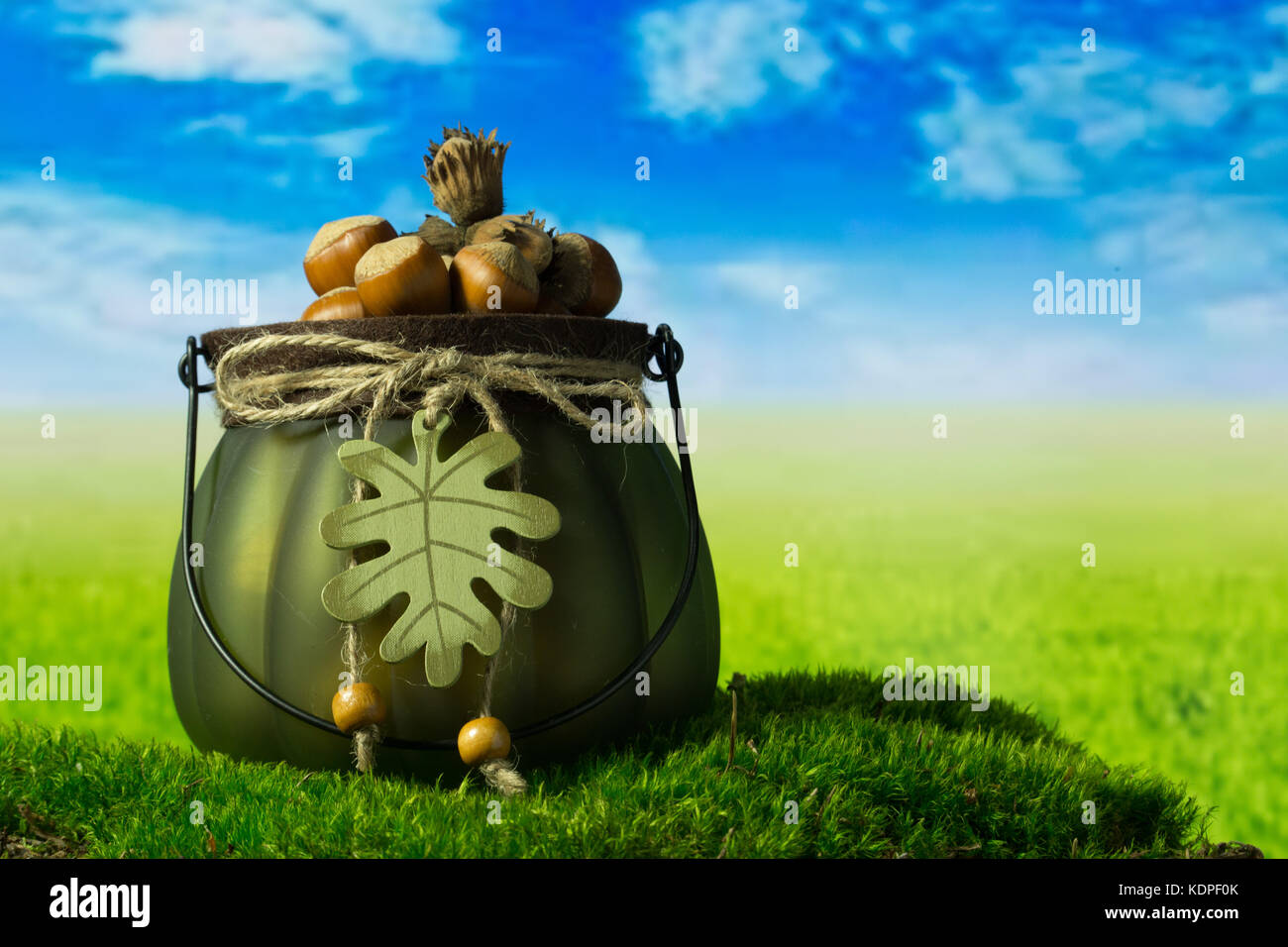 Hazelnuts in the green decorative pot on the grass Stock Photo - Alamy