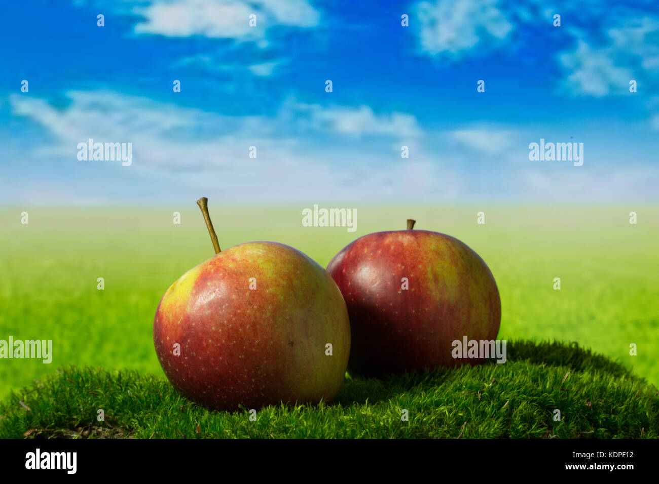 One green apple two hi-res stock photography and images - Alamy