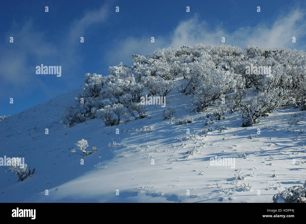 Faint marks hi-res stock photography and images - Alamy